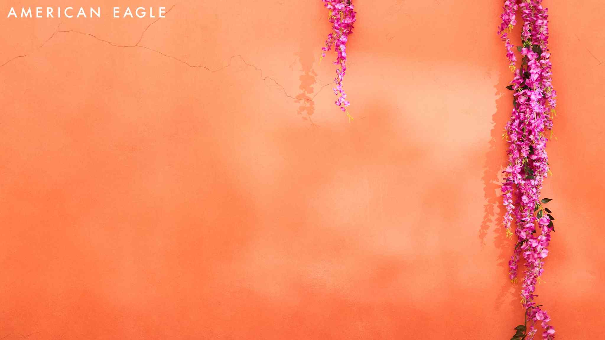 Video Chat Backgrounds - #AEJeans